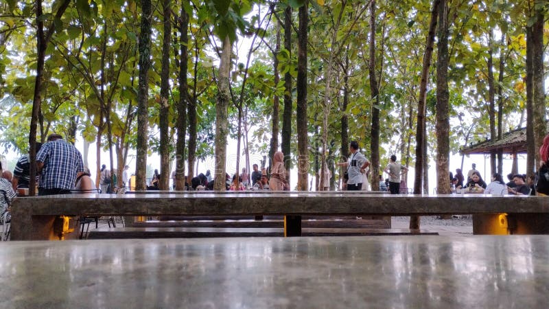 The Tavern& X27;s Stone Table Under a Lush Tree Editorial Stock Image ...