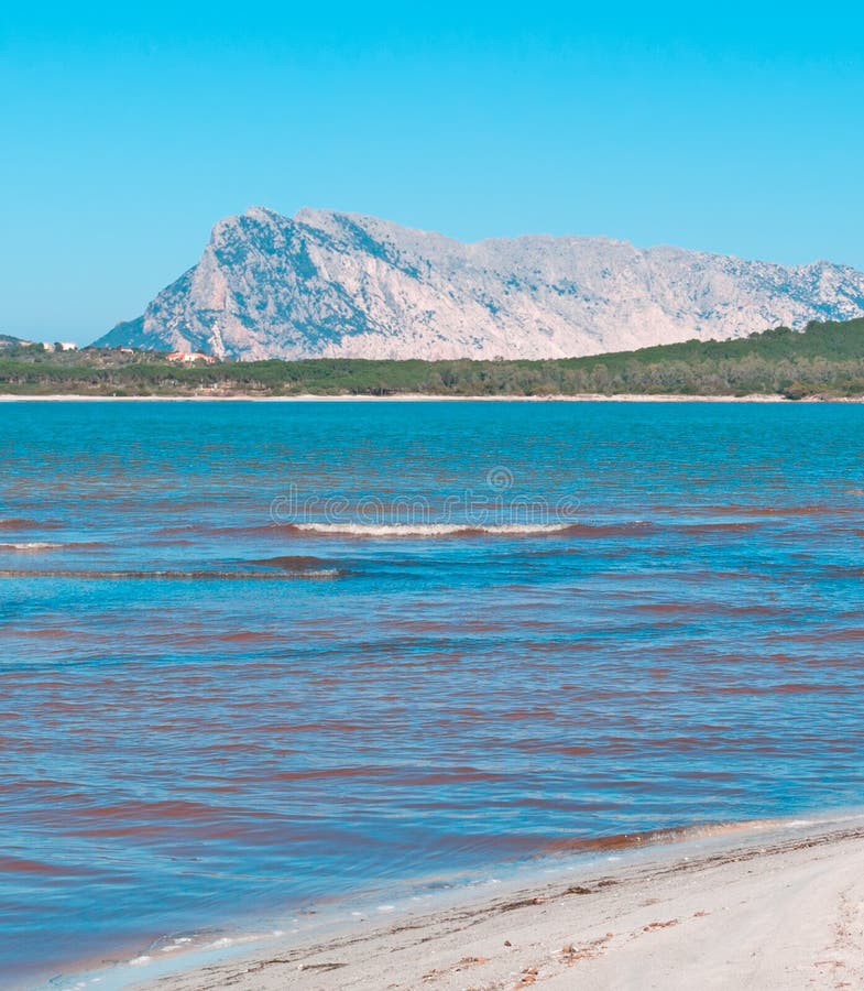 Tavolara and water stock photo. Image of sunlight, inlet - 29859662