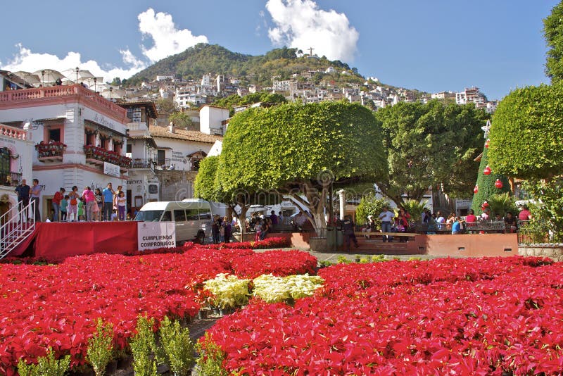 Taxco, México imagen editorial. Imagen de colonial, poinsettia - 30372845