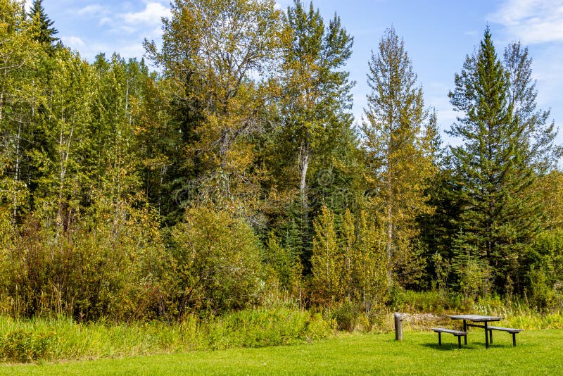Tay River Provincial Recreation Area Alberta Canada Stock Image - Image ...