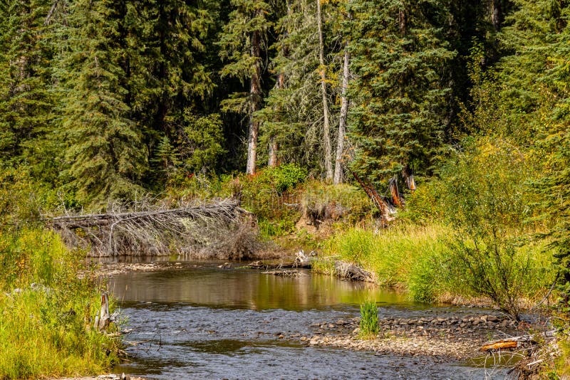 Tay River Provincial Recreation Area Alberta Canada Stock Image - Image ...