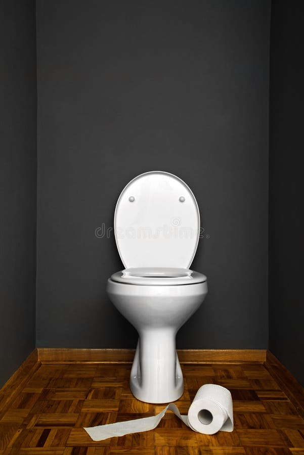 Taza del inodoro foto de archivo. Imagen de higiene, tocador - 34079372