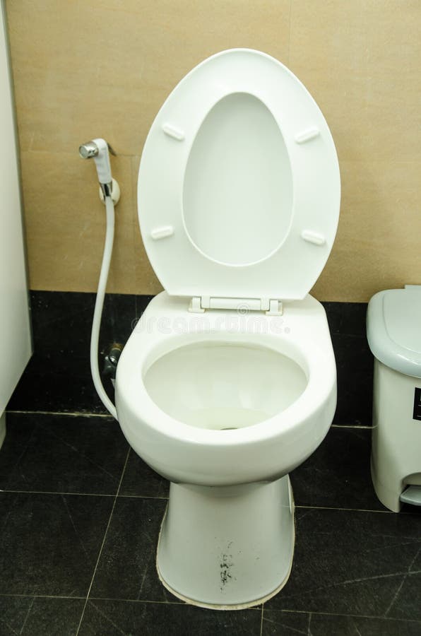Taza del inodoro imagen de archivo. Imagen de colada - 40336403