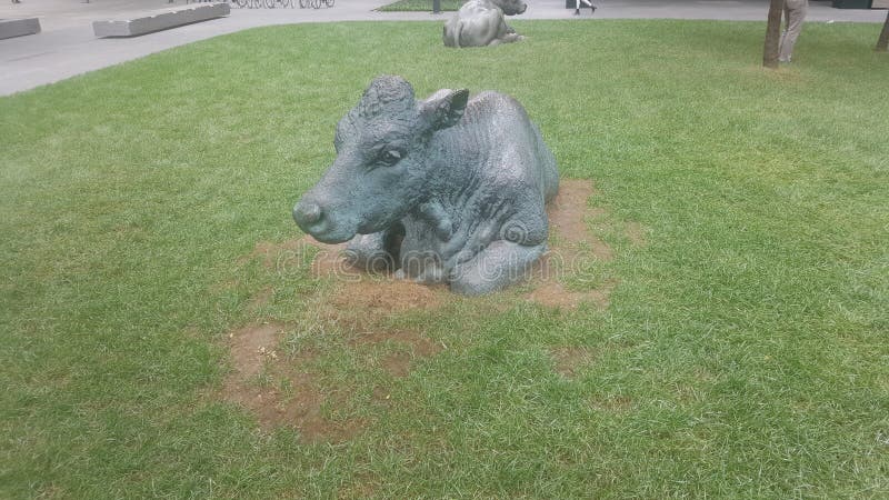 Td Cows Toronto Downtown Statue Stock Photos - Free & Royalty-Free ...