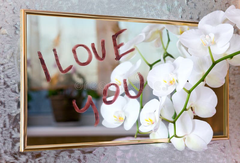 3,378 Te Amo Flor Fotos de stock - Fotos libres de regalías de Dreamstime