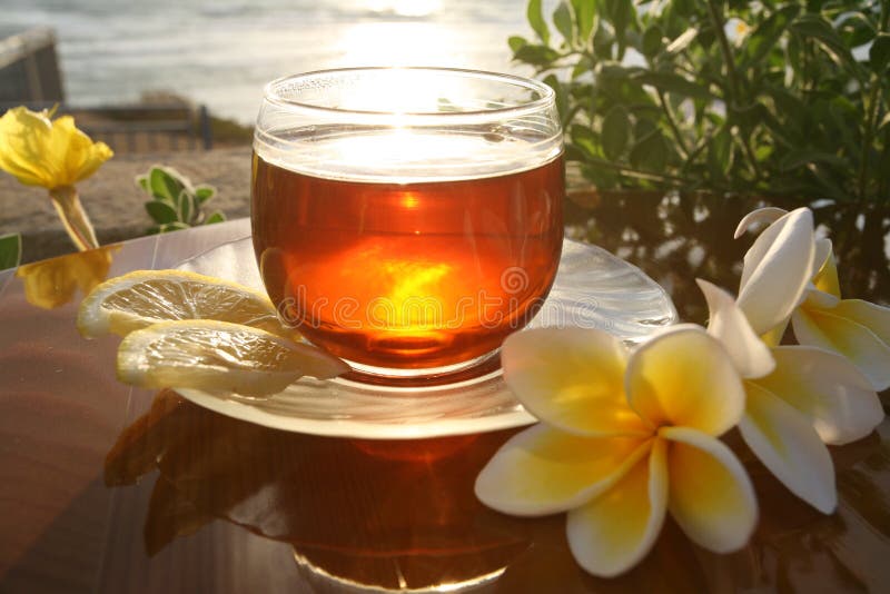 Cup of tea on the sea stock image. Image of herbal, evening - 5457207