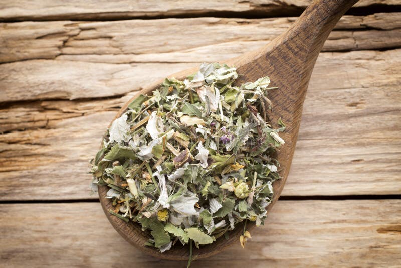 Tea, alternative medicine. stock image. Image of daisy - 51799503