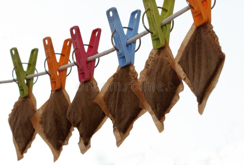 Teabags on a washing line stock photo. Image of conserve - 14186096