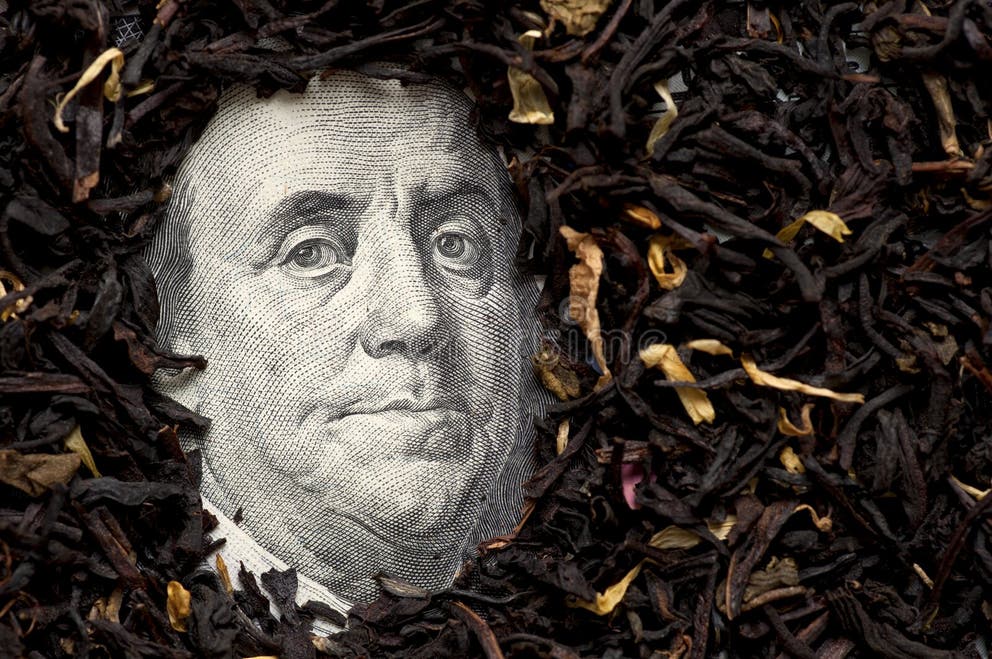 Tea on bank note stock photo. Image of green, mango, black - 40782614