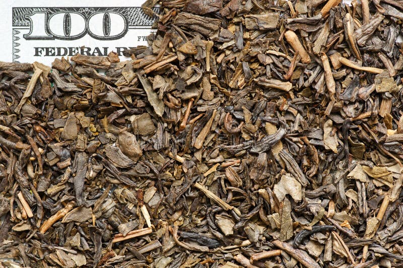 Tea on bank note stock image. Image of government, black - 40782579