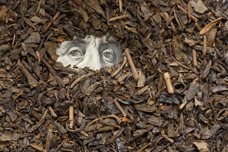 Tea on bank note stock photo. Image of fruit, money, dollar - 40782612