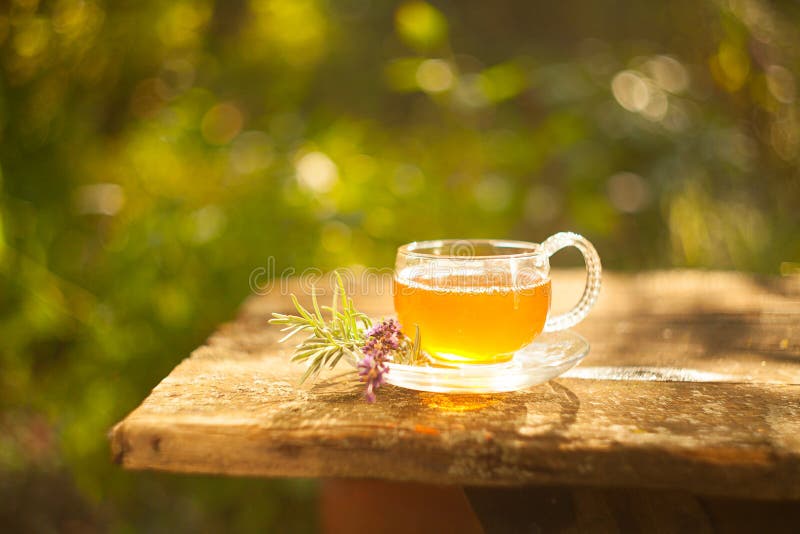 Tea in beautiful cup stock photo. Image of mint, glassware - 76520744