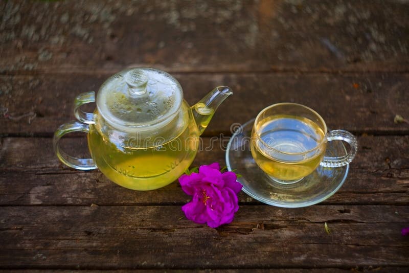 Tea in beautiful cup stock image. Image of medicine, glass - 76563837