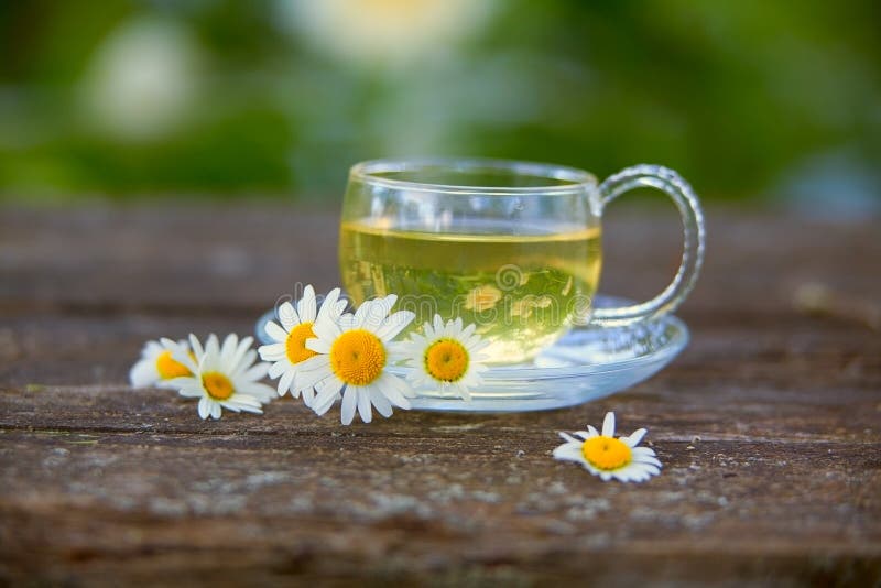 Tea in beautiful cup stock image. Image of herb, infusions - 76564055