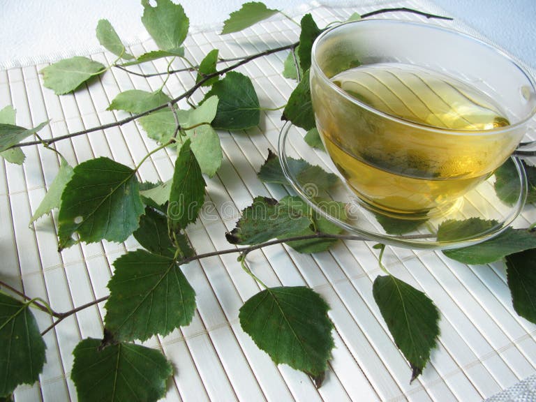 Tea with birch leaves stock photo. Image of pendula, betula - 17789814