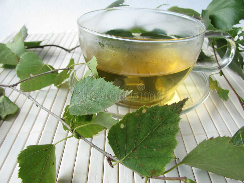 Birch leaves stock photo. Image of foliage, birch, isolated - 2643732