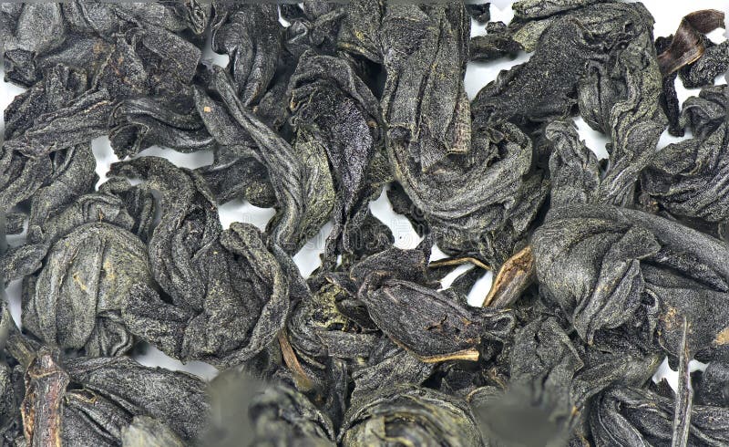 Tea Black Long Leaf Large-leaf Stock Photo - Image of largeleaf ...