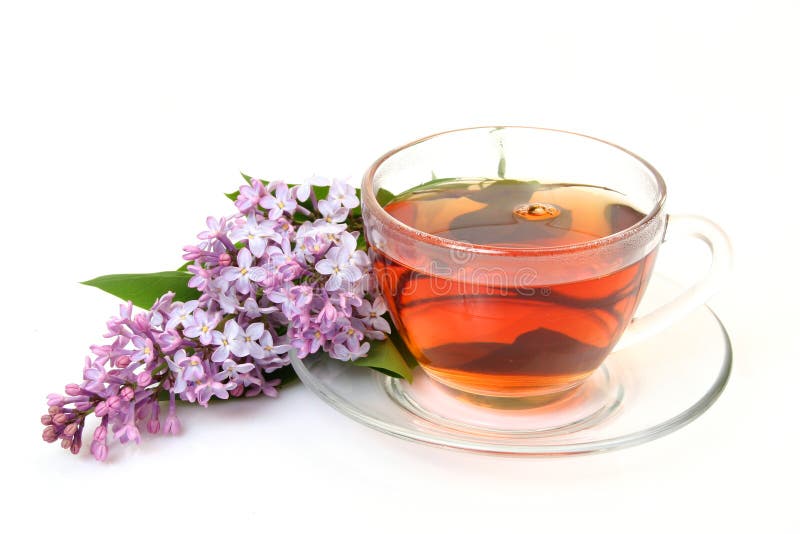 Tea and branch of a lilac stock photo. Image of drink - 18020864