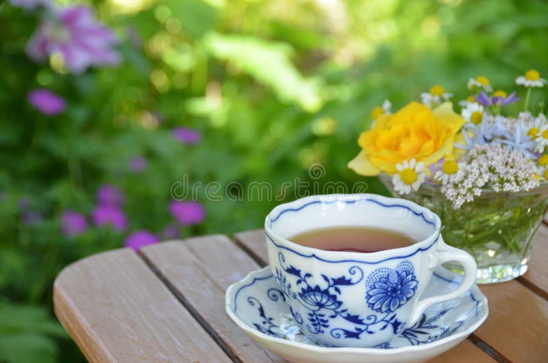 Tea break stock photo. Image of drink, herbal, arrangement - 38923540