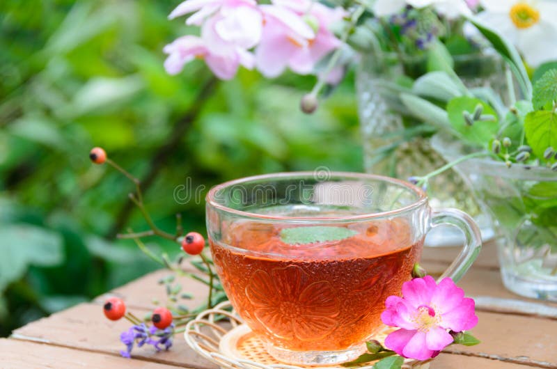 Tea break in garden stock photo. Image of berry, lavender - 60672186