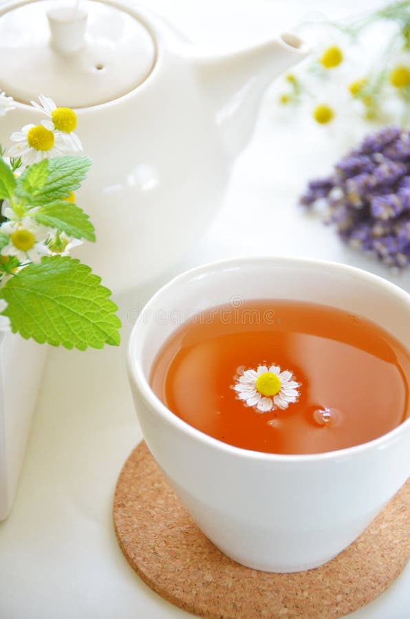 Tea break stock image. Image of herbal, lavender, drink - 38897393