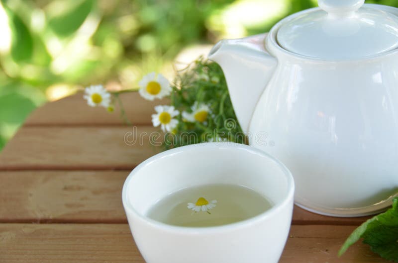 Tea break stock image. Image of lemon, garden, break - 38897375