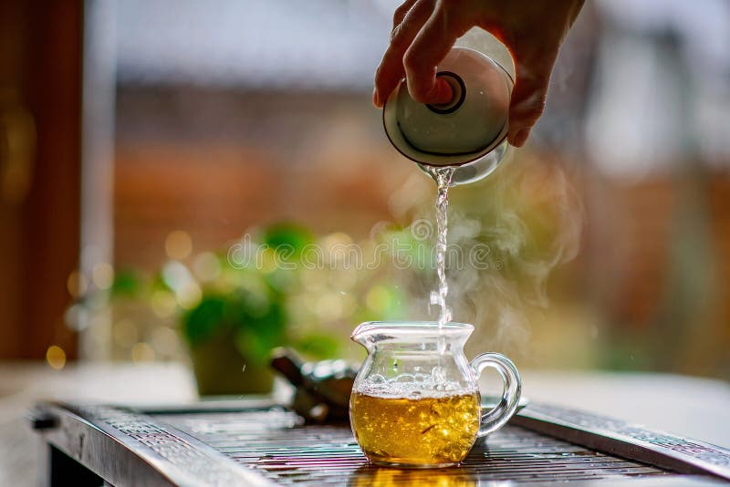 Tea Brewing Process, Tea Ceremony, a Cup of Freshly Brewed Green Oolong ...