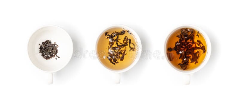 Tea Brewing Process in White Cup Isolated, Stages of Brewing Black Tea ...