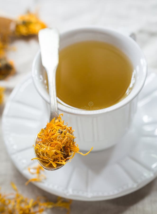 Tea stock image. Image of officinalis, scottish, petals - 49261987