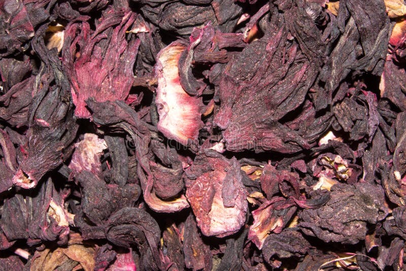 Tea Carcade Dried for Brewing Stock Photo - Image of plant, hibiscus ...