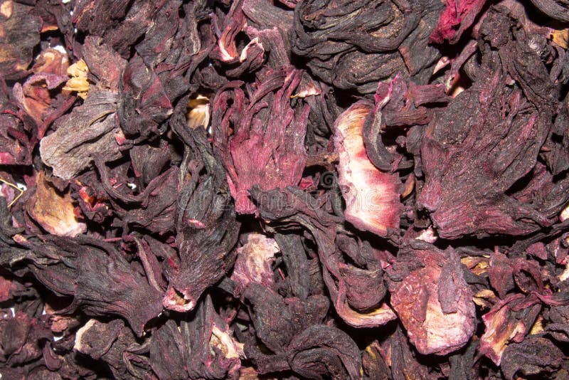 Tea Carcade Dried for Brewing Stock Image - Image of design, texture ...