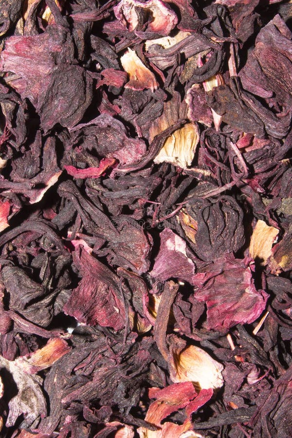 Tea Carcade Dried for Brewing Stock Photo - Image of plant, hibiscus ...