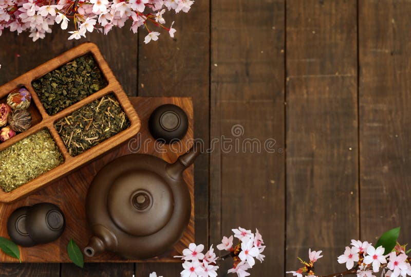 Green Tea with Sakura Branches Stock Photo - Image of flowers, sakura ...