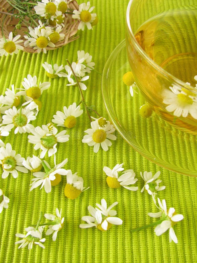 Tea with chamomile stock image. Image of chamomile, care - 20004881