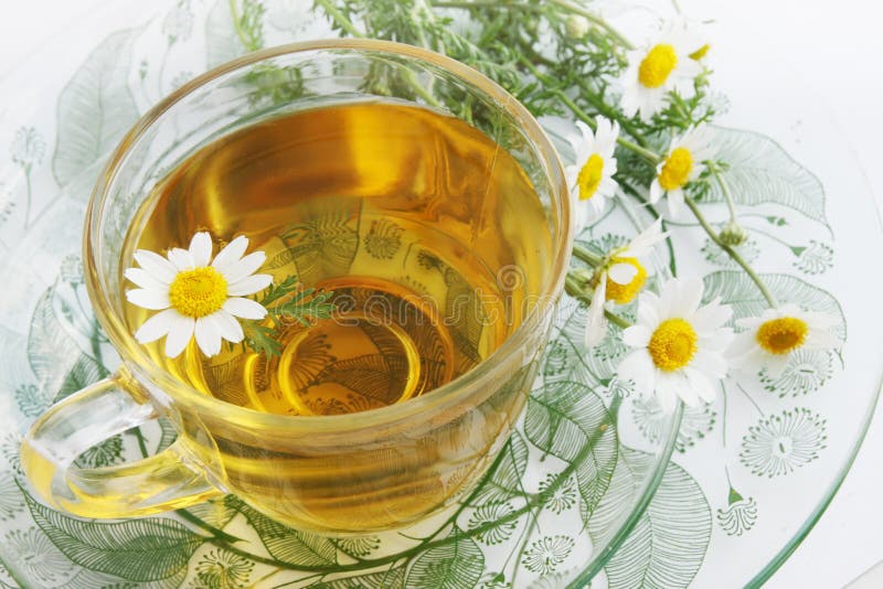 Tea of chamomile stock photo. Image of leaf, beauty, food - 39130052