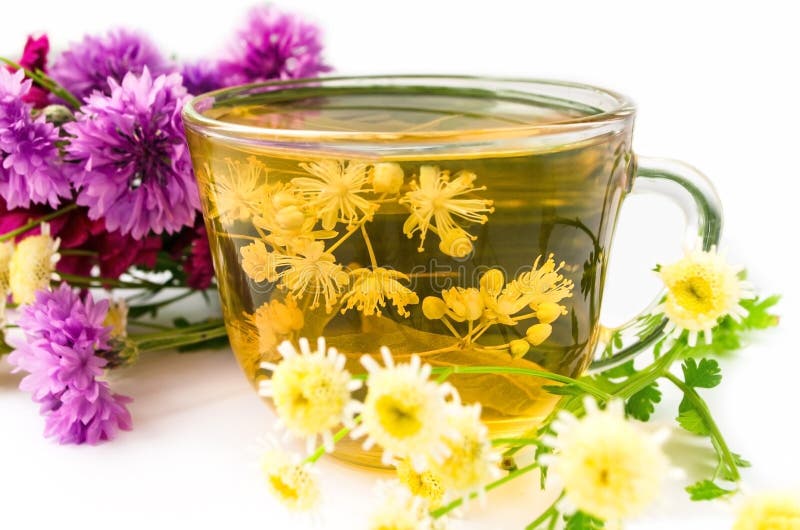 A Plant with Flowers and Green Leaves Grows on a Stone. the Concept of ...