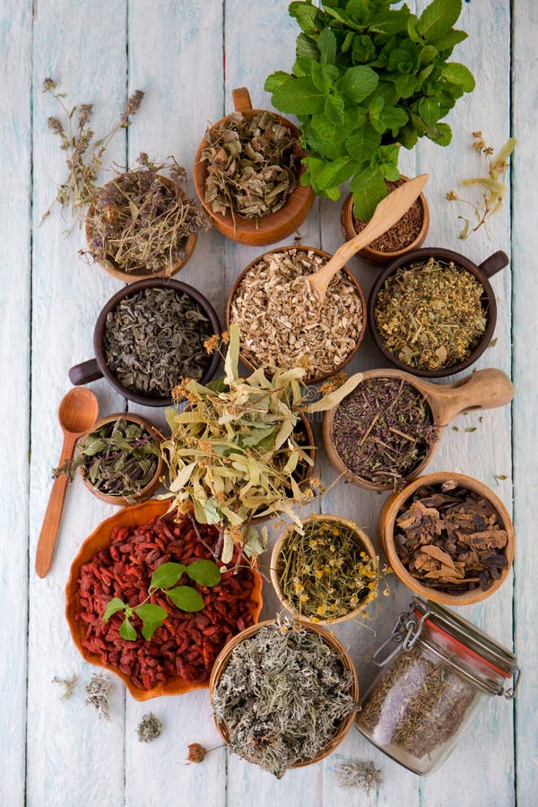 Tea collection stock image. Image of expectorant, herbs - 240354107
