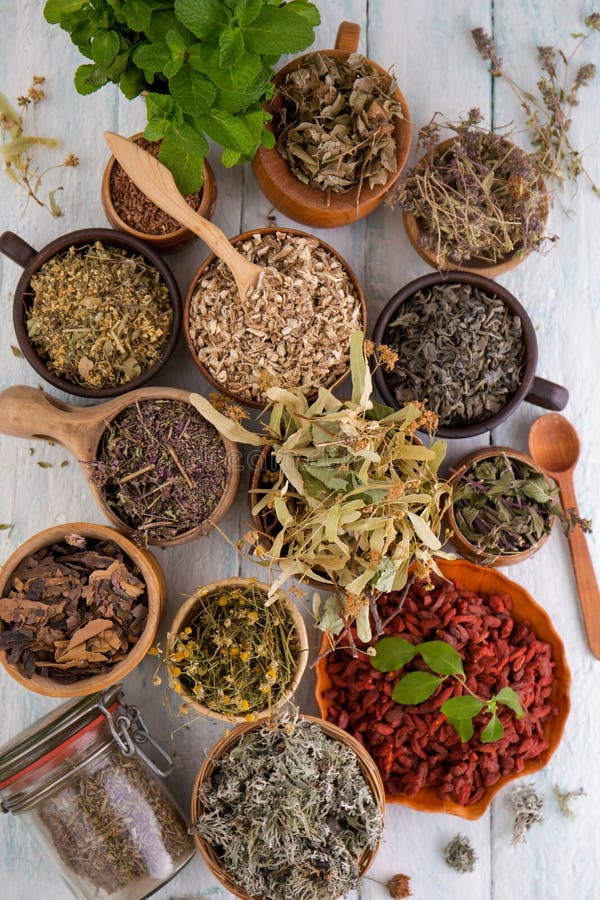 Tea collection. Top view stock image. Image of drug - 240355497