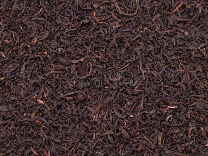 Tea crop stock image. Image of healthcare, asian, agriculture - 10130135