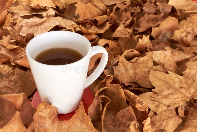 Tea Cup Background of Fallen Leafs Stock Image - Image of idea ...