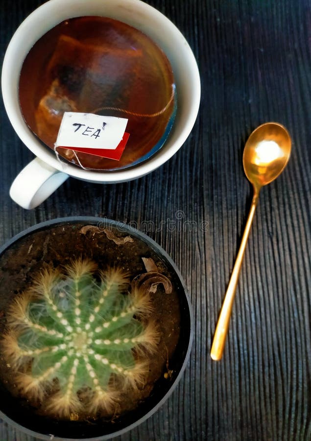 Tea in the Cup, Cactus and Spoon Take from Top View Stock Photo - Image ...