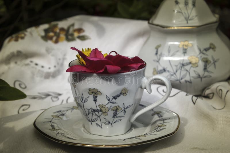 Inside Flowers through the Iron Flowers on the Door Stock Photo - Image ...