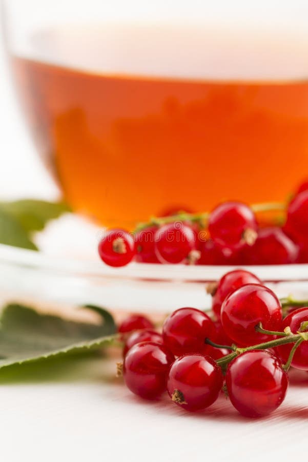Tea in Cup and Fresh Red Currant Stock Image - Image of ripe, healthy ...