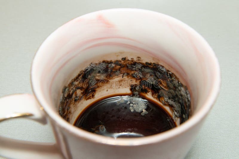 Tea Cup with Fungus and Mildew Stock Photo - Image of fungus, aged ...