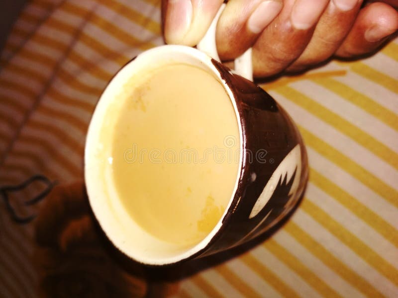 Tea on cup hold by man stock photo. Image of hold, food - 225621192
