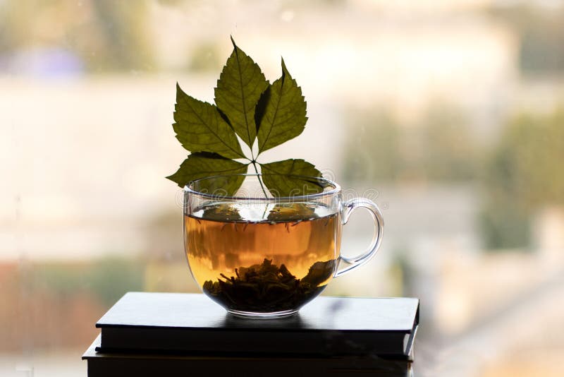 Tea Cup with Tea Leaves on the Window. Tea Drinking Stock Image - Image ...