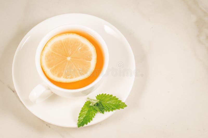 Tea Cup with a Segment of a Lemon and Mint/tea Cup with a Segment of a ...