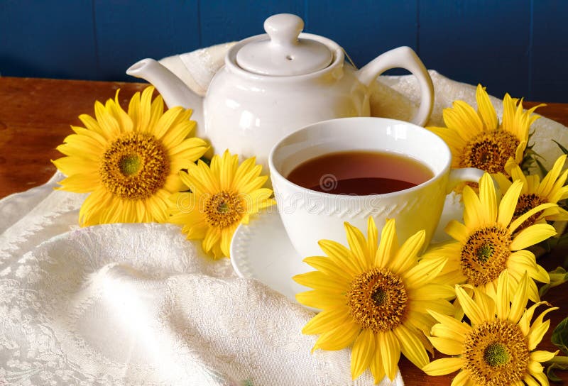 Sunflowers and Tea stock image. Image of blossom, white - 286560131