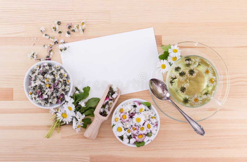 Tea with daisies stock image. Image of daisy, fresh, white - 91450045