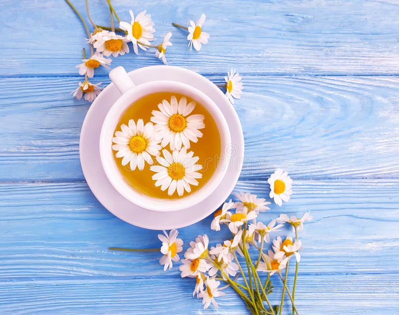 Tea Daisy Flower a Wooden Background Aroma Stock Image - Image of ...